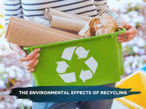 The Environmental Effects of Recycling